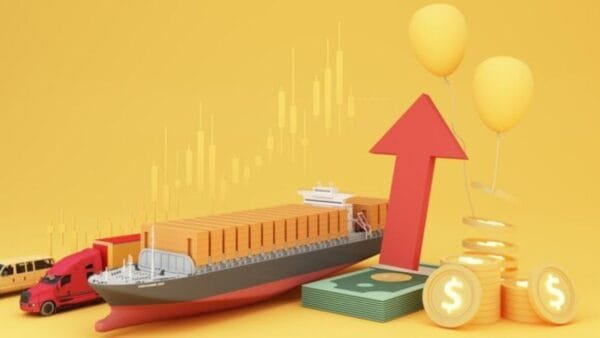 TEU Shipping Containers: Definition and Capacity | DFH